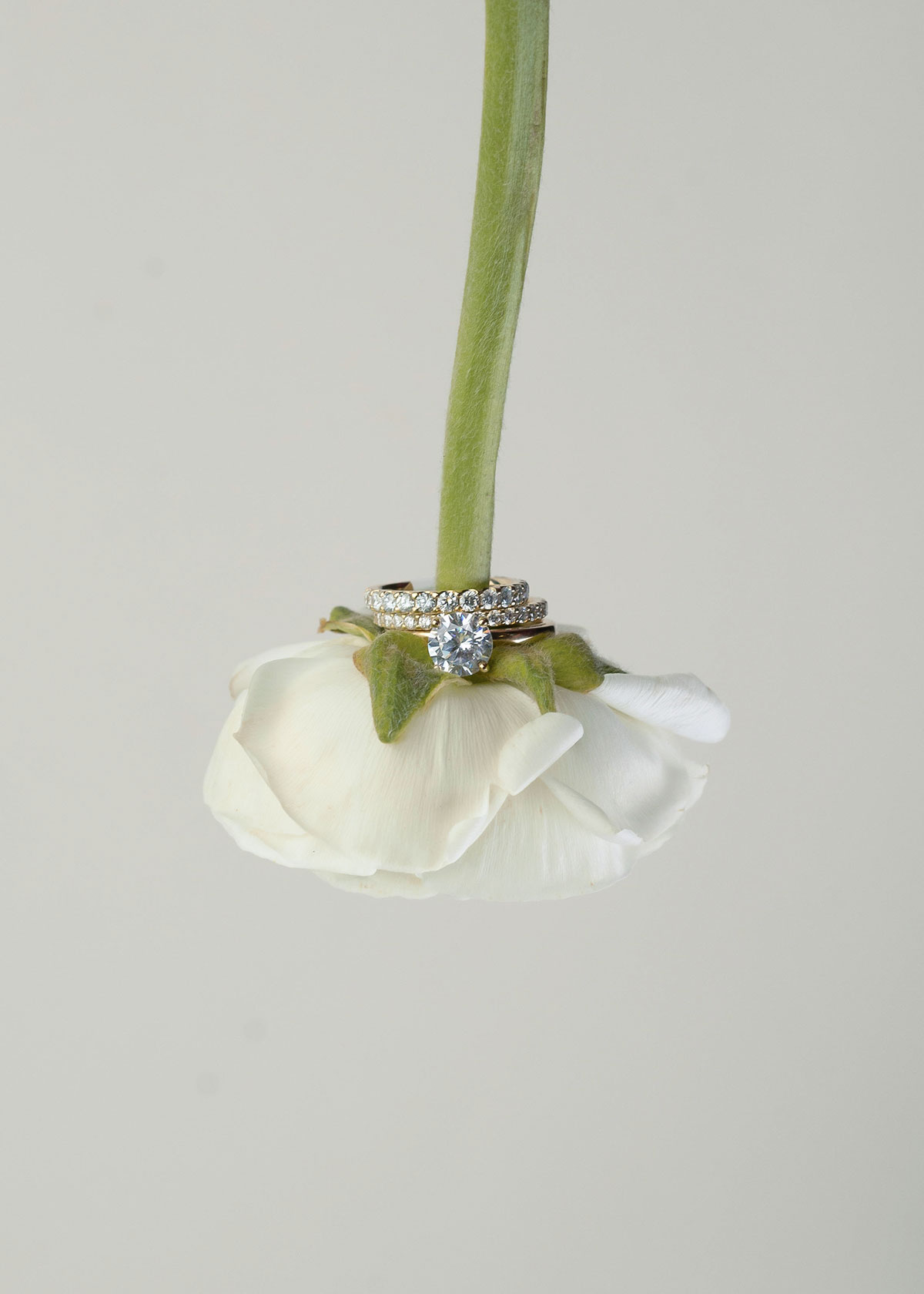 Essential Bands | Diamonds Direct